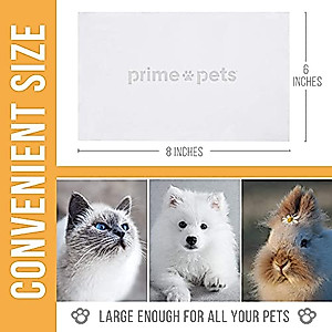 Dog Grooming Wipes, 600 Count 6x8Inch Deodorizing Wipes for Dogs & Cats, 100% Fragrance Free, Natural Pet Wipes for Cleaning Faces Bums Eyes Ears Paws Teeth, Dog Wipes