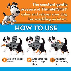 Thundershirt dogs clothing Thundershirt Dog Anxiety Jacket, Platinum, Large