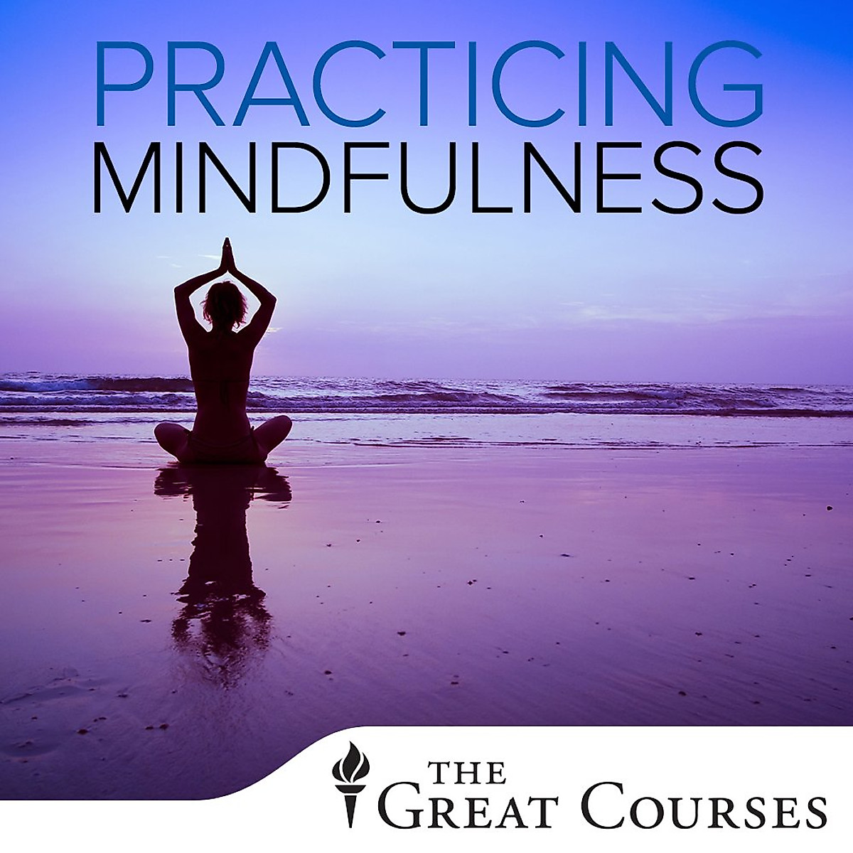 Practicing Mindfulness: An Introduction to Meditation