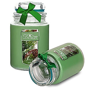 Decorlife 22 oz Scented Candles, Large Balsam & Cedar Christmas Candles with 2 Wicks, Strong Smelling and 110 Hours Long Lasting Time, 2-Pack