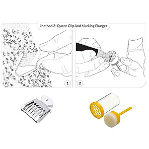 Queen Bee Marking Kit - Includes 5 Posca Marking Pens, One Handed Queen Catcher, Stainless Steel Queen Clip, Marking Plunger and Push Catcher