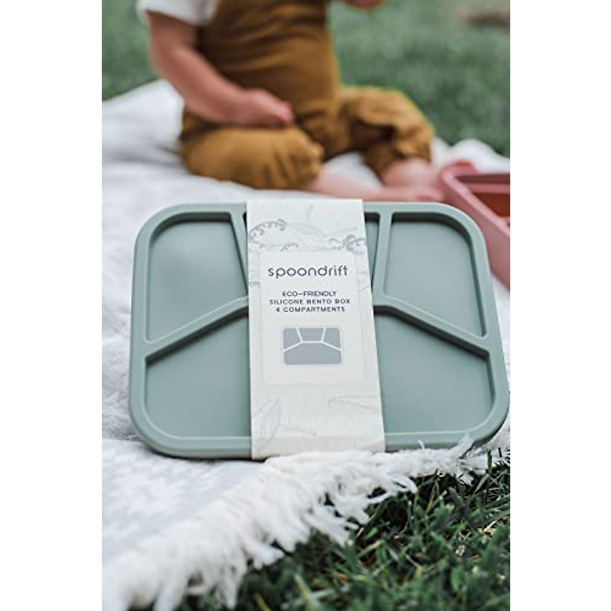 Spoondrift Eco-Friendly Leak Proof Silicone Bento Box Lunch Box, For Child And Adult, 4 Compartment, Choose from 6 Colors, Includes one box (Sage)