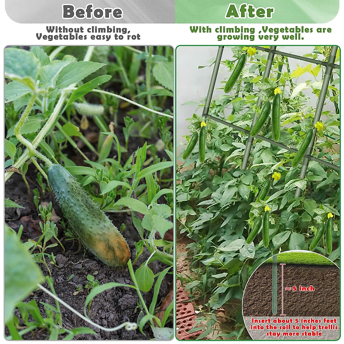 Tetutor Cucumber Trellis for Raised Bed 65"×48", Garden Arch Trellis for Climbing Plants Outdoor, Metal Garden Trellis for Vegetables, Cucumber Trellis for Tomato, Bean, Pea, Grape, Plant, Squash