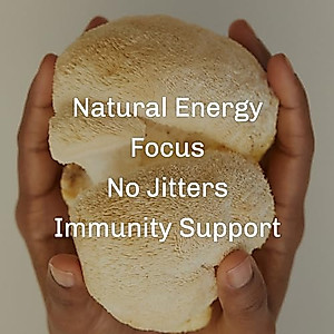 MUDWTR Original (30 servings) - Organic Blend of Cacao, Beneficial Mushrooms, and Chai Masala - Natural Energy, Focus, & Immunity, No Jitters - Coffee Substitute