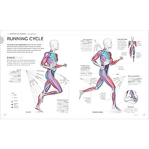 Science of Running: Analyze your Technique, Prevent Injury, Revolutionize your Training (DK Science of)