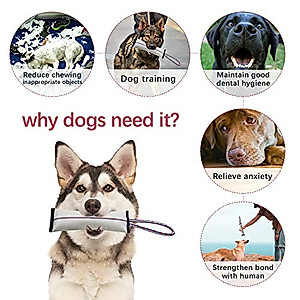 Tough Dog Toys for Aggressive Chewers,Dog Chew Toys,Dog Tug Toy,Firehose Dog Toys,Interactive Dog Toys for Large Dogs,Dog Squeaky Toys with Strong Cotton Rope Handle,Pet Toys for Small Dog Toys Pack 2