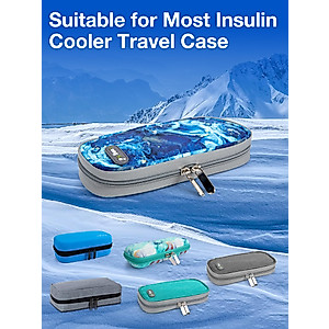 Leng Ke Ice Pack for Insulin Cooler Travel Case TSA Approved - Gel Ice Pack for Travel Medicine Organizer, Small Ice Packs for Diabetic Travel Case and Refrigerated Medicine Travel Case (4 Pack)