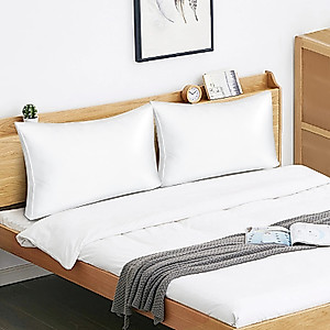 EIUE Bed Pillows for Sleeping 2 Pack Queen Size，Super Soft Down Alternative Microfiber Filled Pillows,20 x 30 Inches,White