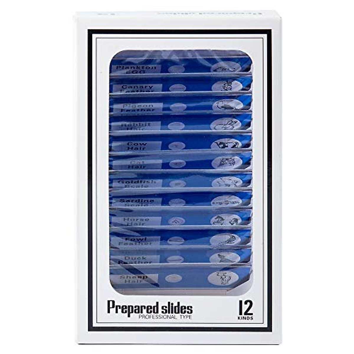 LINKMICRO 48pcs Prepared Plastic Microscopes Slides with 4 Types of Glass Biological Specimen for Kids Students