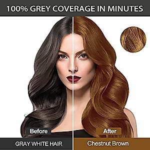 Hair Dye Shampoo 3 IN 1-100% Grey Coverage - Instant Black Hair Dye, Herbal Permanent Hair Color Shampoo for Women & Men Hair Dye Coloring in Minutes(500mL,17.6 Fl Oz) (Chestnut Brown)
