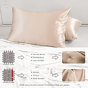 PROMEED 23 Momme Silk Toddler Pillowcase 13x18, Both Sides Highest Grade 6A+ Mulberry Silk Pillow Case Travel Size with Free Laundry Bag (Toddler/Travel-13 x18, Champagne)