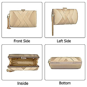 Adoranda Clutch Purses for Women Tassel Evening Bags for Wedding Prom Night out Party