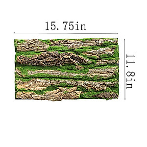 PINVNBY Cork Terrarium Background,Reptile Bark Backdrop Wall Decor and Artificial Moss for Gecko,Lizard,Tortoise,Chameleon (2 Pack)
