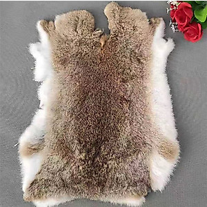 4pcs Assorted Bulk Craft Grade Natural Rabbit Skins Real Quality Rabbit Pelts Perfect for Decoration, Cat/Dog Toys, Sewing, or Crafting Fur Hide 10" by 14"
