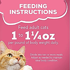 Purina Friskies Wet Cat Food Variety Pack, Surfin' & Turfin' Prime Filets Favorites - (40) 5.5 oz. Cans