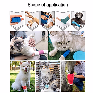 AMOGATO 6 Pack Paw Self Adhesive Bandage Wrap, Vet Wrap Cohesive Bandagesfor Pets, Athletic, Sports, Wrist, Ankle, First Aid 2 Inch x 5 Yards