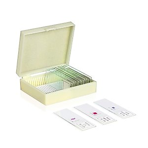 Vision Scientific VSB126 Prepared Slide Set – Textile Fibre (Set of 12)