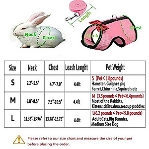 sonicbee Multipurpose Rabbits Hamster Vest Harness with Leash Bunny Mesh Chest Strap Harnesses Ferret Guinea Pig Small Animals Pet Accessories (L, Blue)