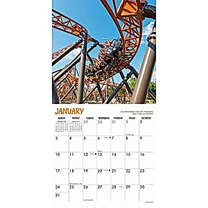 Roller Coasters 2021 Wall Calendar