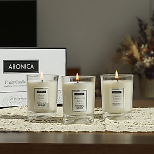 Aronica Fruity Candle Gift Set for Women, Scented Advent Candles, Christmas Gifts for Coworkers, Office Staff Secret Santa, Soy Candles for Couple Xmas, Holiday Hostess Gift, Small Simple Party Gift