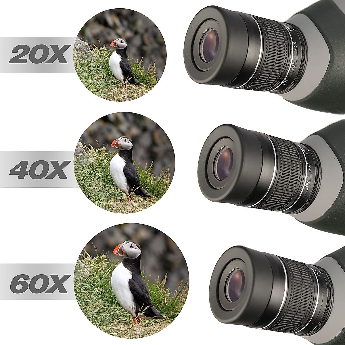 LANDOVE 20-60X80 Spotting Scopes, Dual Focus BAK4 HD Optics Spotting Scope with Carrying Bag and Large Phone Adapter for Hunting, Target Shooting, Archery, Bird Watching Bonus a Table Tripod