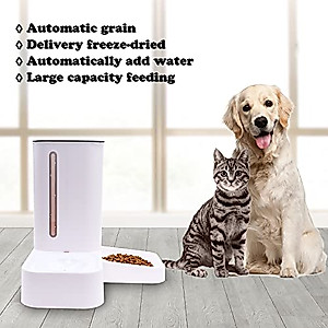 2 in 1 Gravity Cat Food and Water Bowl Set,Automatic Cat Feeder Water Dispenser for Dogs -All-in-One Pet Feeder for Small to Medium Dogs and Cats,Pets