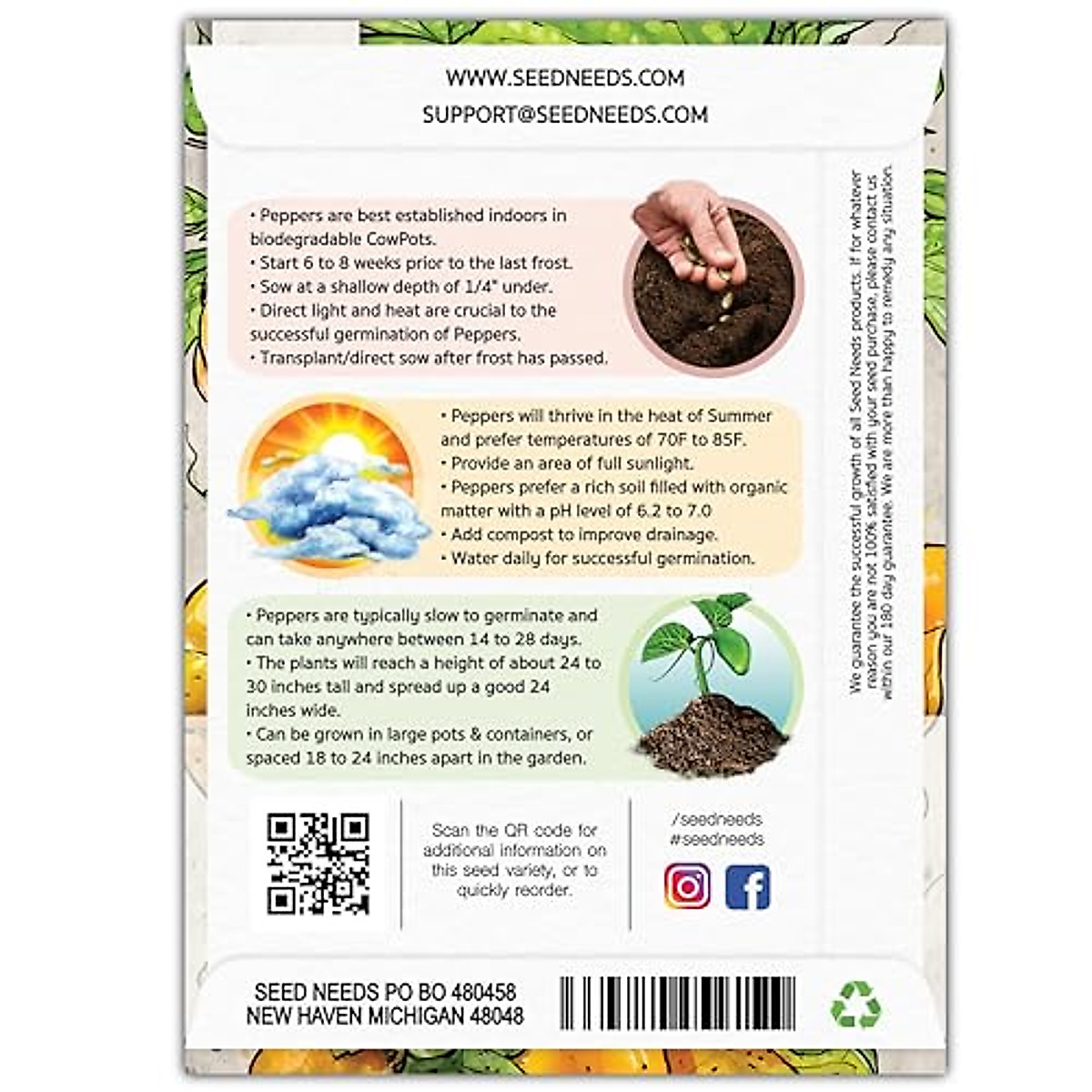 Seed Needs, Jamaican Yellow Hot Pepper Seeds for Planting (Capsicum chinense) Twin Pack of 60 Seeds Each - Heirloom, Non-GMO & Untreated