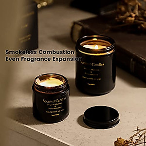 Westin White Tea Candle - Scented Candles for Home - Natural Soy Candles - Natural Soy Candles - Aromatherapy Candle - Odor Eliminating Fragranced Candle - Up to 40 Hour Burn time - 7 oz