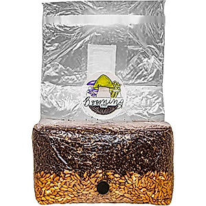 Booming Acres | The Magical 5lb All-in-One Mushroom Grow Bag | Mushroom Grow Kit | Harvest Your own Happiness | Discover The Magic of Growing Mushrooms - 5lb Grow Bag Mushroom Starter Kit