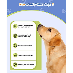 Huimpet Short Rear Leg Hock Brace, Dog Leg Braces for Back Leg with Flexible Velcro, Dog ACL Brace hind Leg, Hock & Ankle Support, Dog Leg Sleeve Protect Wound and Pain Relief, Medium,1 Pair, Black