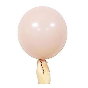 Pastel Peach Balloons 50 Pcs 12 inch Latex Party Balloons for Wedding Engagement Birthday Baby Shower Party Decoration