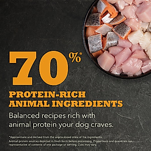 ACANA Highest Protein Dry Dog Food, Meadowland, Chicken and Turkey Recipe, 4.5lb