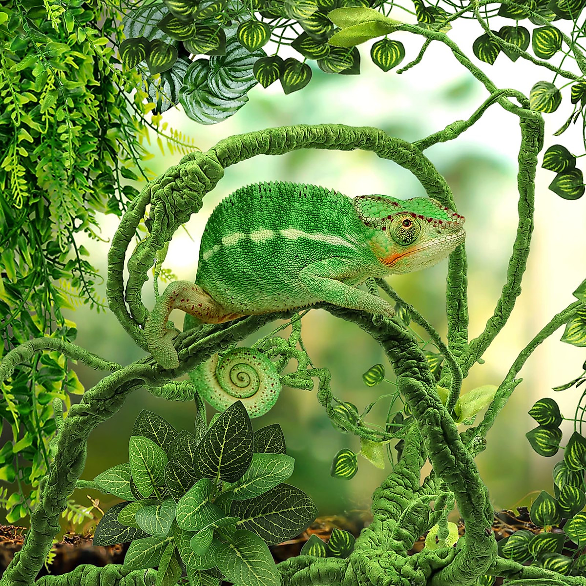 Bearded Dragon Tank Accessories for Habitat, QUOZUO Terrarium Hanging Plants Artificial Leaves Reptile Hide, Leopard Gecko Tank Accessories Snake Hide Terrarium Decor for Lizard Geckos Chameleon