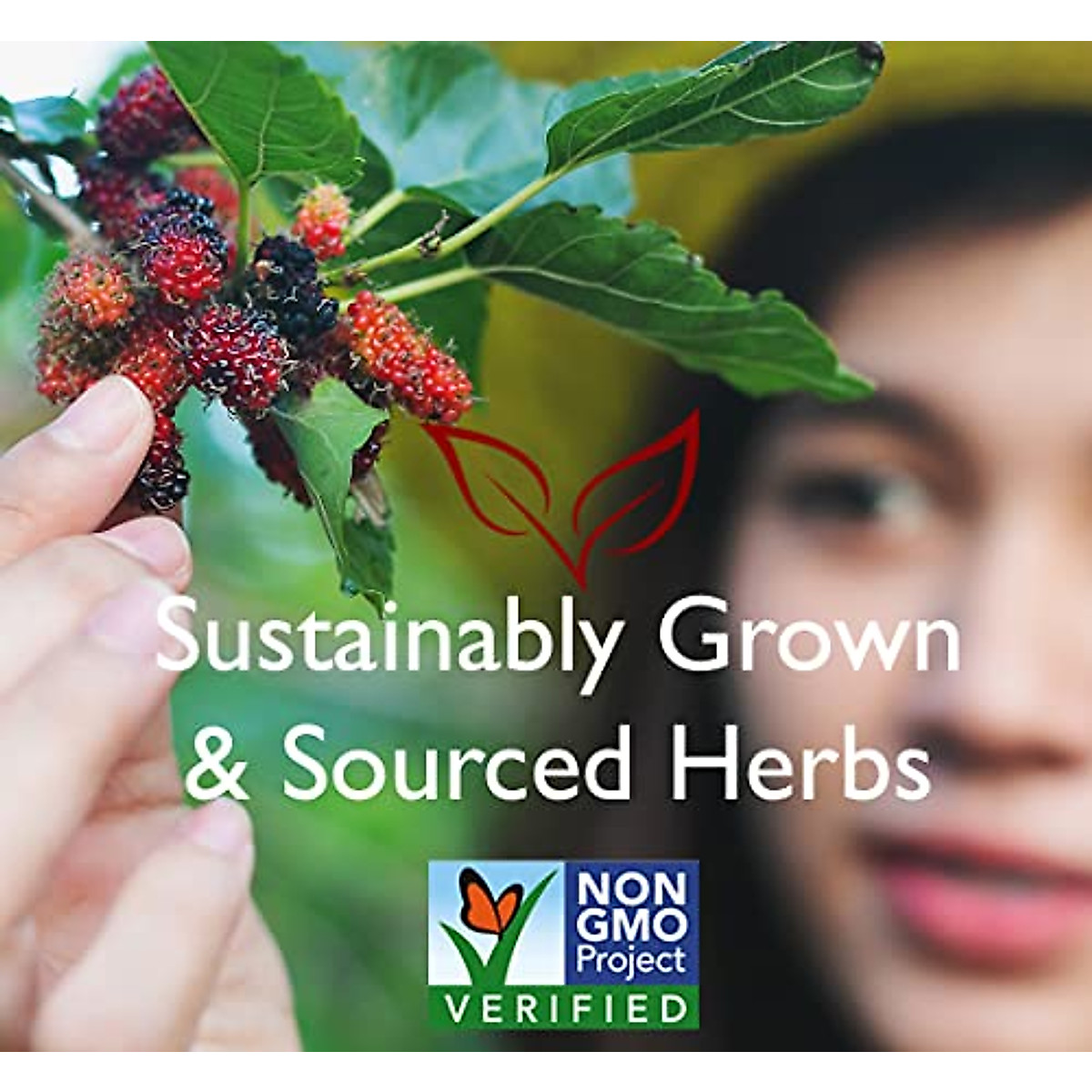 Bravo Tea Kidney Strong Herbal Tea Caffeine Free, 20 Tea Bags (Pack of 2)