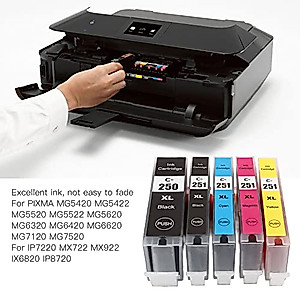 FTVOGUE 250‑251 Multi Colors Ink Cartridge Replacement Printer Inkjet Cartridges for PIXMA (BK BK C M Y 5 Colors)