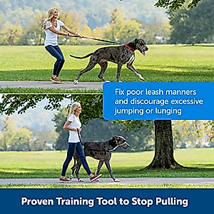 PetSafe Gentle Leader No-Pull Dog Headcollar - The Ultimate Solution to Pulling - Redirects Your Dog's Pulling For Easier Walks - Helps You Regain Control - Medium , Black
