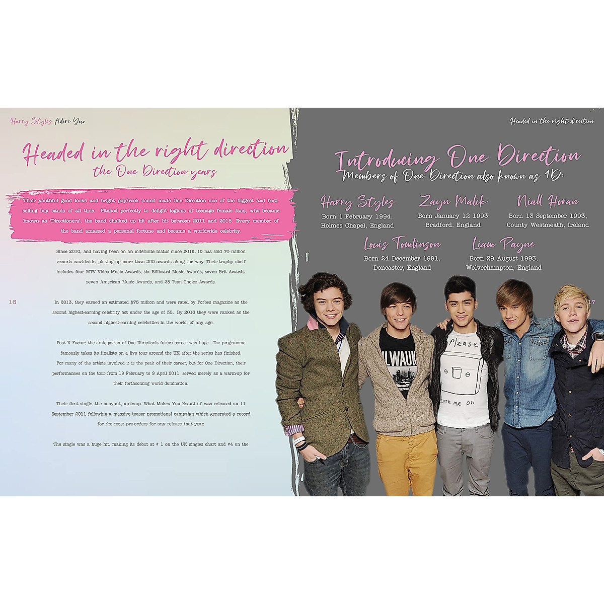 Harry Styles: Adore You: The Illustrated Biography