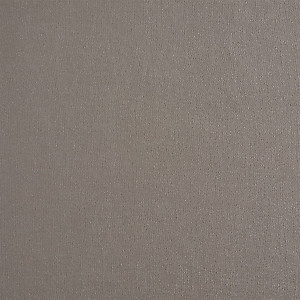 HiEnd Accents High Shine Satin 3 Piece Duvet Cover Set, Super King Size, Champagne Solid Color, Classic Traditional Modern Style Luxury Bedding, 1 Comforter Cover and 2 Pillowcases