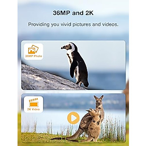 VOOPEAK 2 Pack Trail Camera - Game Camera 36MP 2K Motion Activated Trail Cam Scouting Hunting Cam Wildlife with 2.0 LCD Screen 120° Wide Angle Lens Night Vision Waterproof IP66