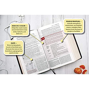 NIV, Life Application Study Bible, Third Edition, Leathersoft, Brown, Red Letter, Thumb Indexed