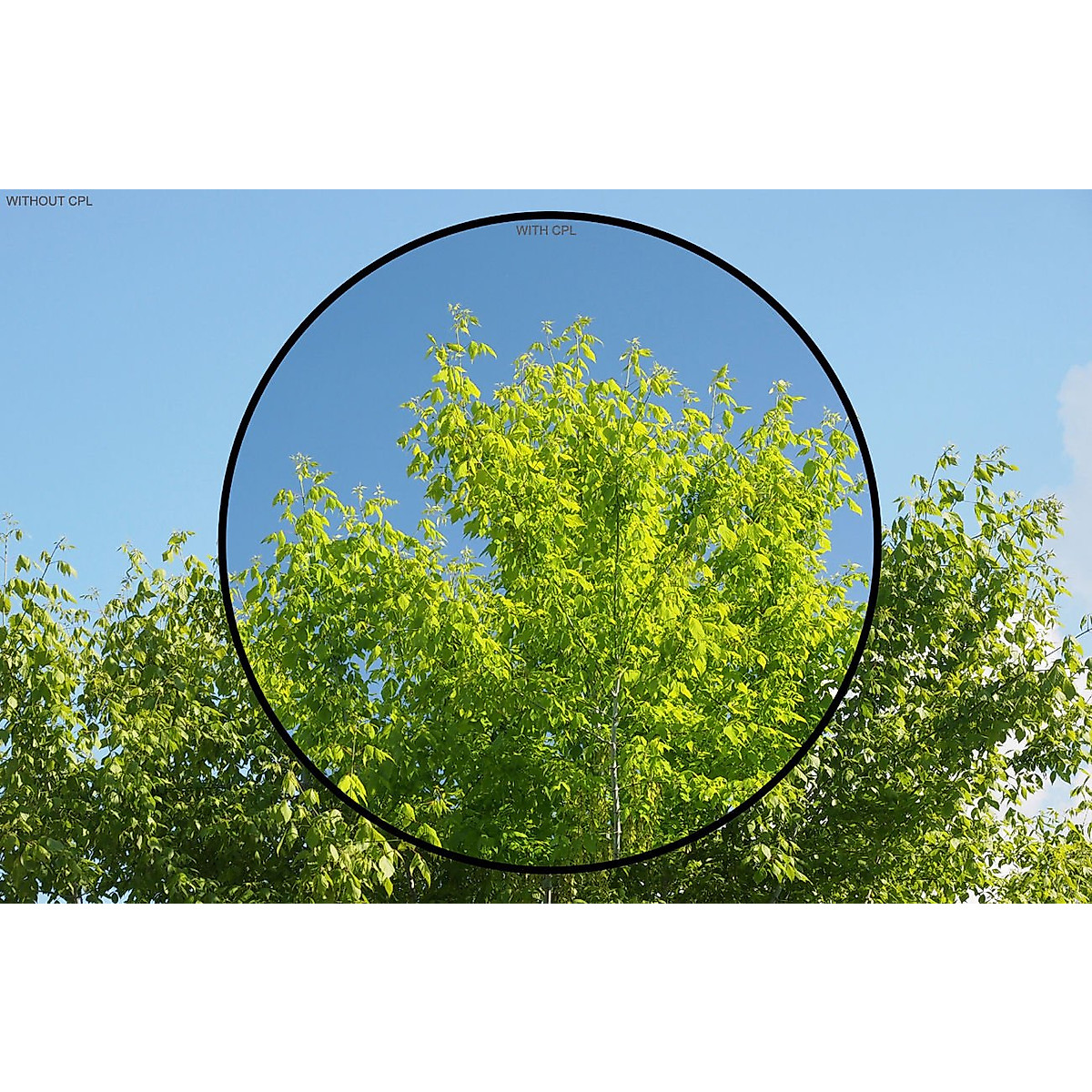 High Definition Lens Filter Kit for Panasonic LUMIX S5 (67mm) (Multi-Coated, Multi-Threaded)