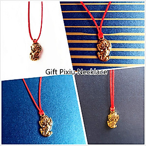 Feng Shui Amulet Bracelet Prosperity Red Bead Bracelet with Charm Red Pi Xiu/Pi Yao Attract Lucky Wealthy Bangle for Women/Men(12mm&1 Pixiu)