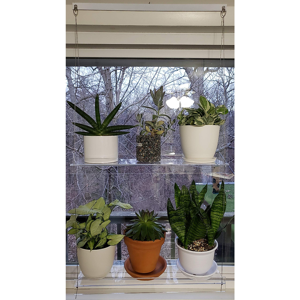 SUPREMETECH Hanging Acrylic Shelves for Windows (16" Wide, 1 Shelf - 26" Tall)
