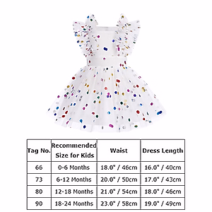 AWIBMK Baby Girls 1st Birthday Outfit Colorful Polka Dots Princess Tutu Dress Cake Smash Clothes for Photo Shoot White 12-18 Months