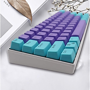 Taeeiancd PBT Keycaps for 60 Percent Mechanical Gaming Keyboard OEM Profile 61 Keycaps Set with Key Puller for Cherry MX Switches (Purple)