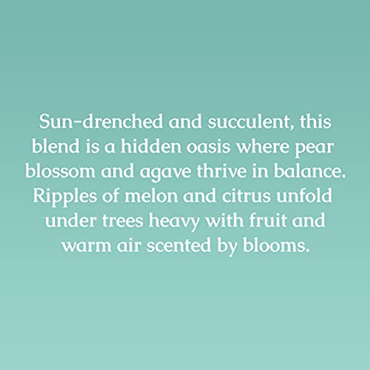 Caldrea Hand Wash Soap, Aloe Vera Gel, Olive Oil And Essential Oils To Cleanse And Condition, Pear Blossom Agave Scent, 10.8 Oz (Pack of 2)