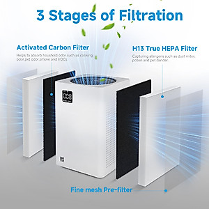 KF250 H13 True HEPA Replacement Filter Compatible with Kenmore 1200e Series PM2010 Air Cleaner Purifier, Part # KF250, 2 Sets (4pcs)