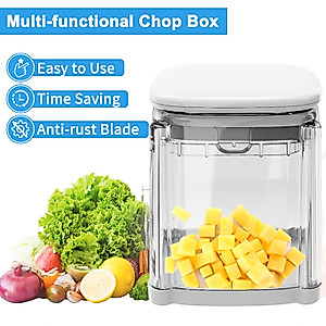 French Fry Cutter 4-in-1 Food Dicer Chop Box, Potato Cutter for Fries Potato French Fry Onion Cutter Food Chopper Manual Hand Vegetable Cutter Dicer Apple Slicer, 4 Blades