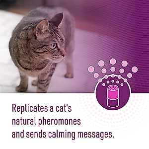 Comfort Zone Basic Calming Diffuser Kit for Cat Calming