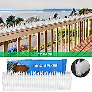 KKUYT Defender Spikes, 12 Pack Plastic Bird Spike, Outdoor Wall Cat Spikes Pigeon Spikes, 17 Feet Security Fence Spikes Anti-Theft Climb Strips for Roof, Railing (Clear-12 PCS)…